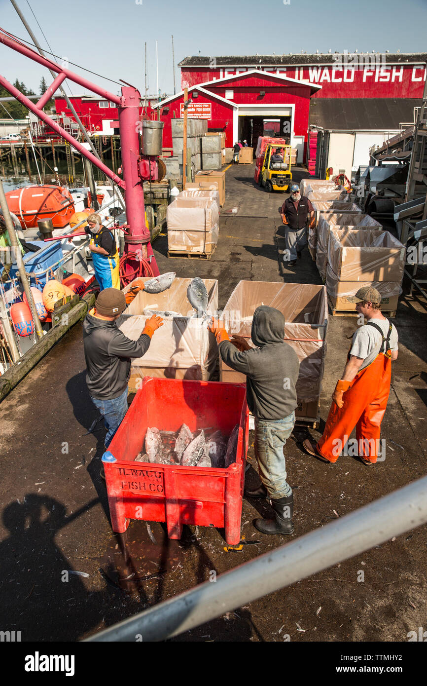 USA, Washington State, Ilwaco, the Port of Ilwaco located on the ...
