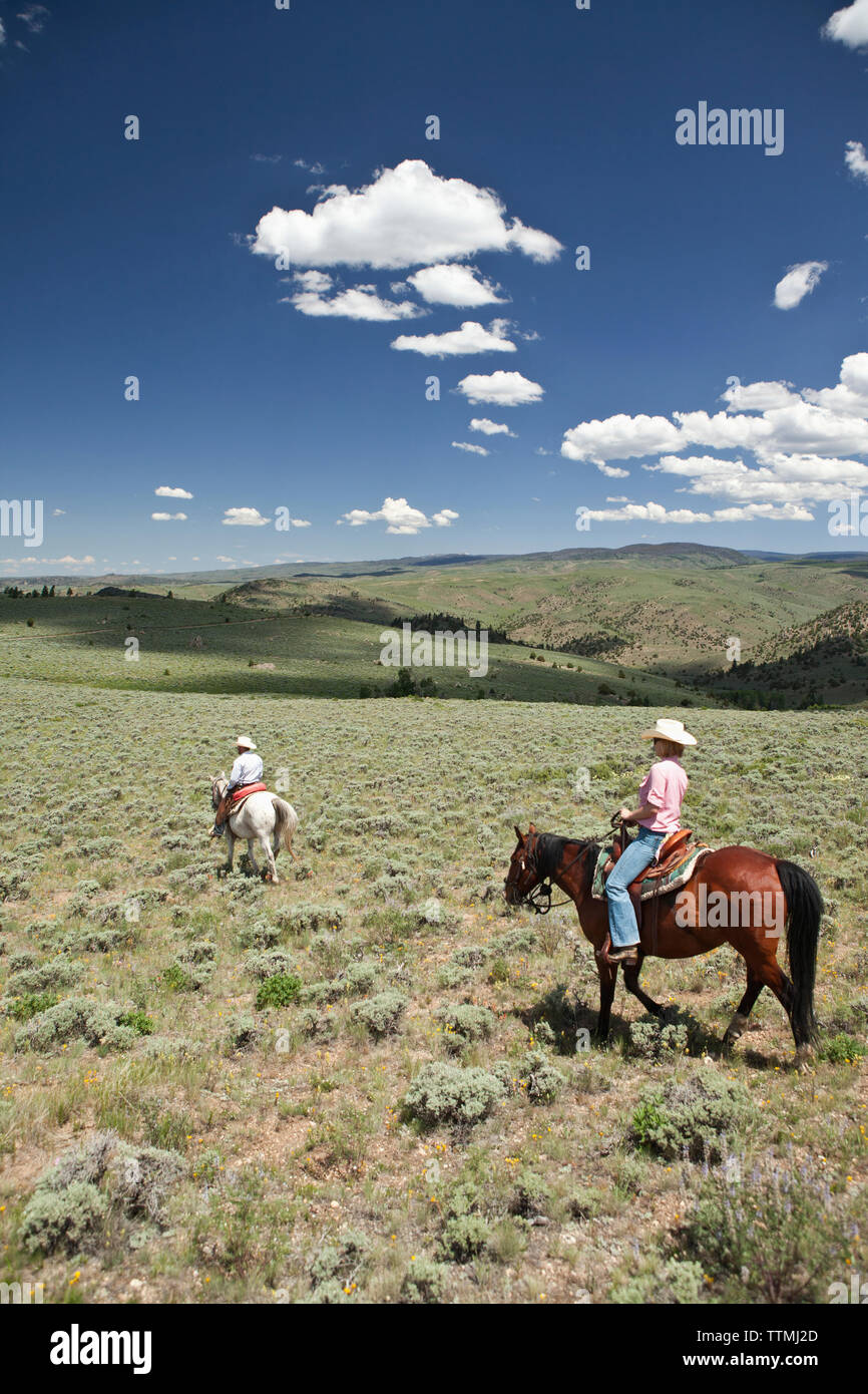 Usa wyoming cowboy cowgirl riding hi-res stock photography and images ...