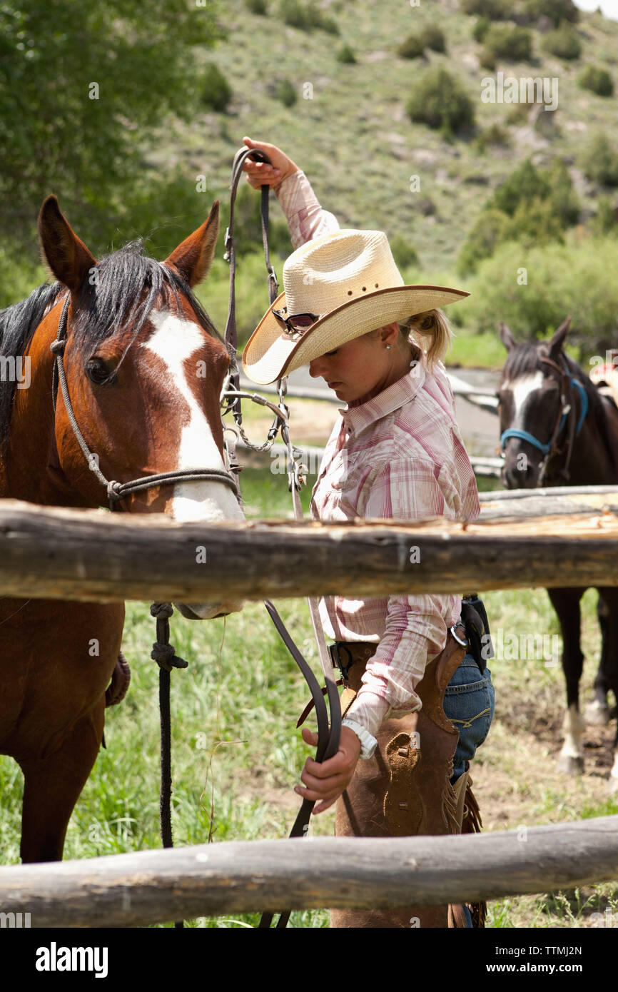USA, Wyoming, Encampment, a wrangler puts a bridle on a horse before a ...