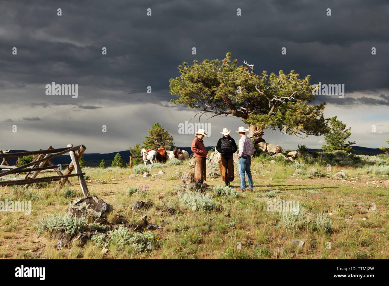 USA, Wyoming, Encampment, wrangelrs on a mountain top wait for trail ...