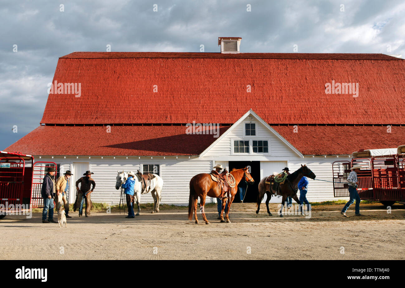 USA, Wyoming, Encampment, cowboys prepare for a branding and load ...