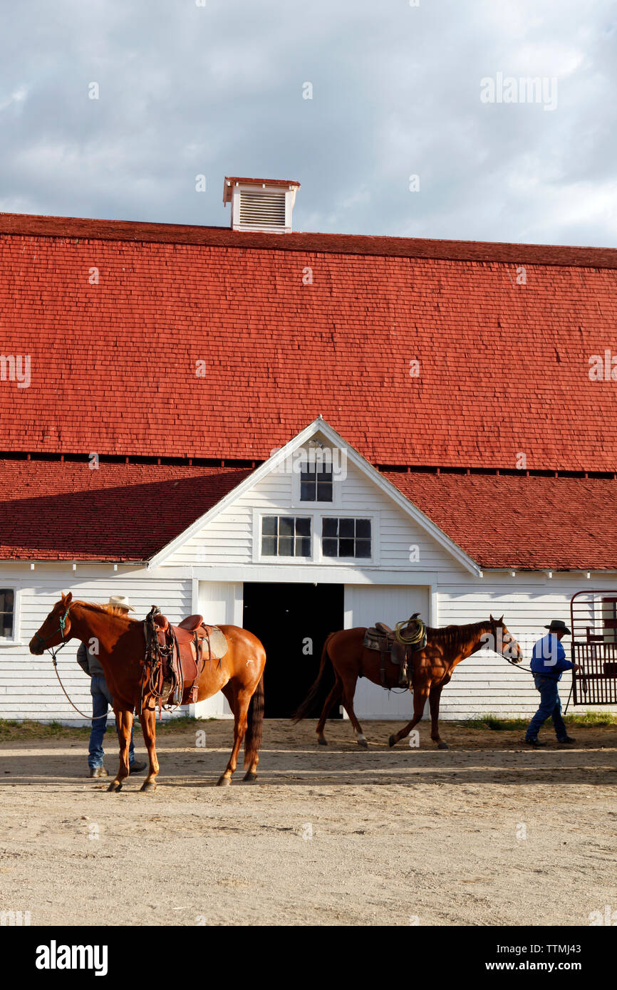 USA, Wyoming, Encampment, cowboys prepare for a branding and load ...