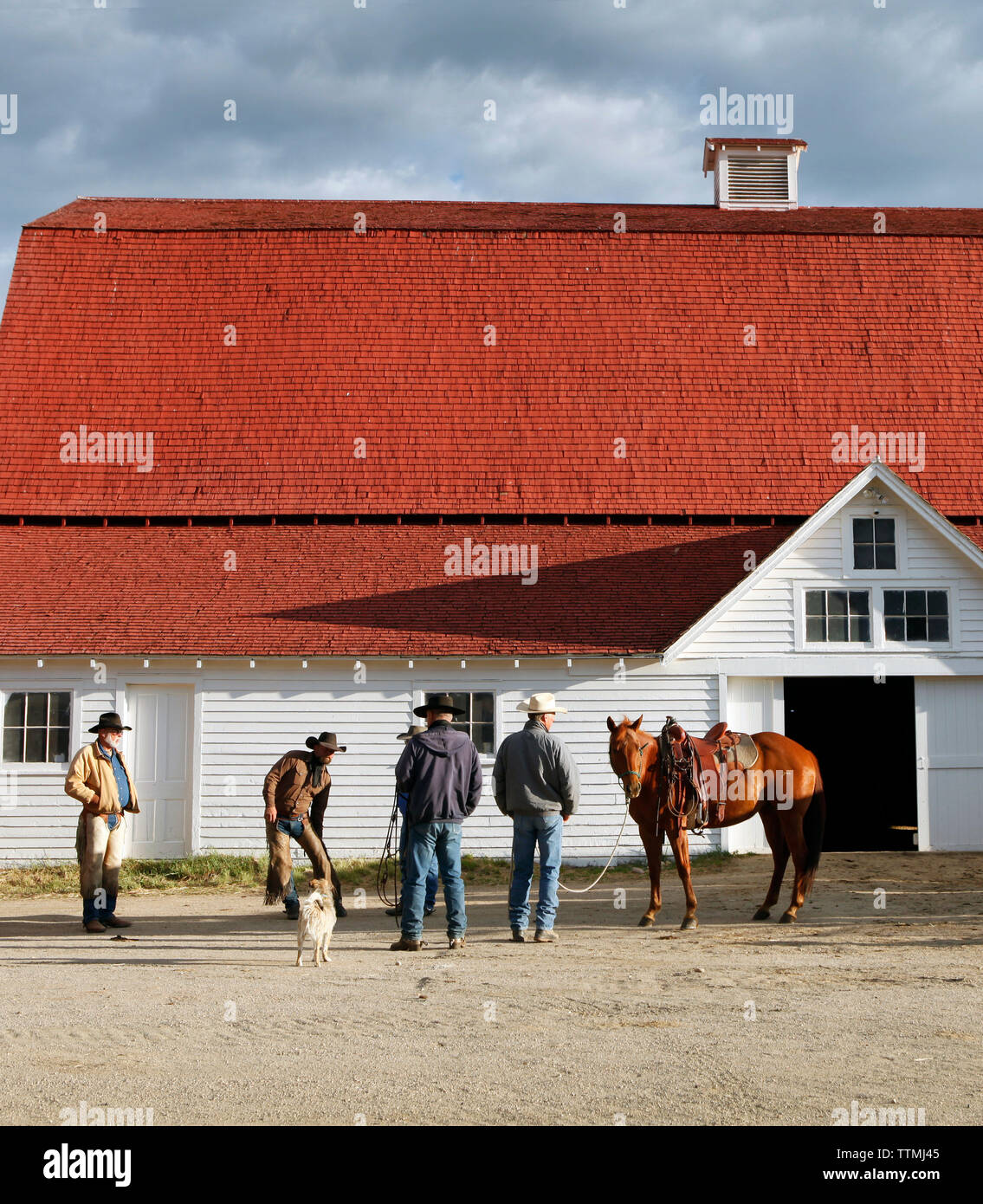 USA, Wyoming, Encampment, cowboys prepare for a branding and load ...