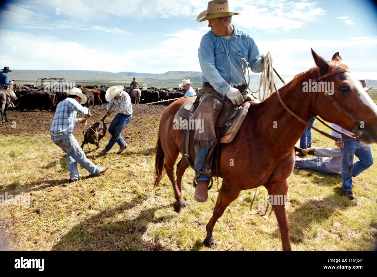 Ranch Brands In Wyoming