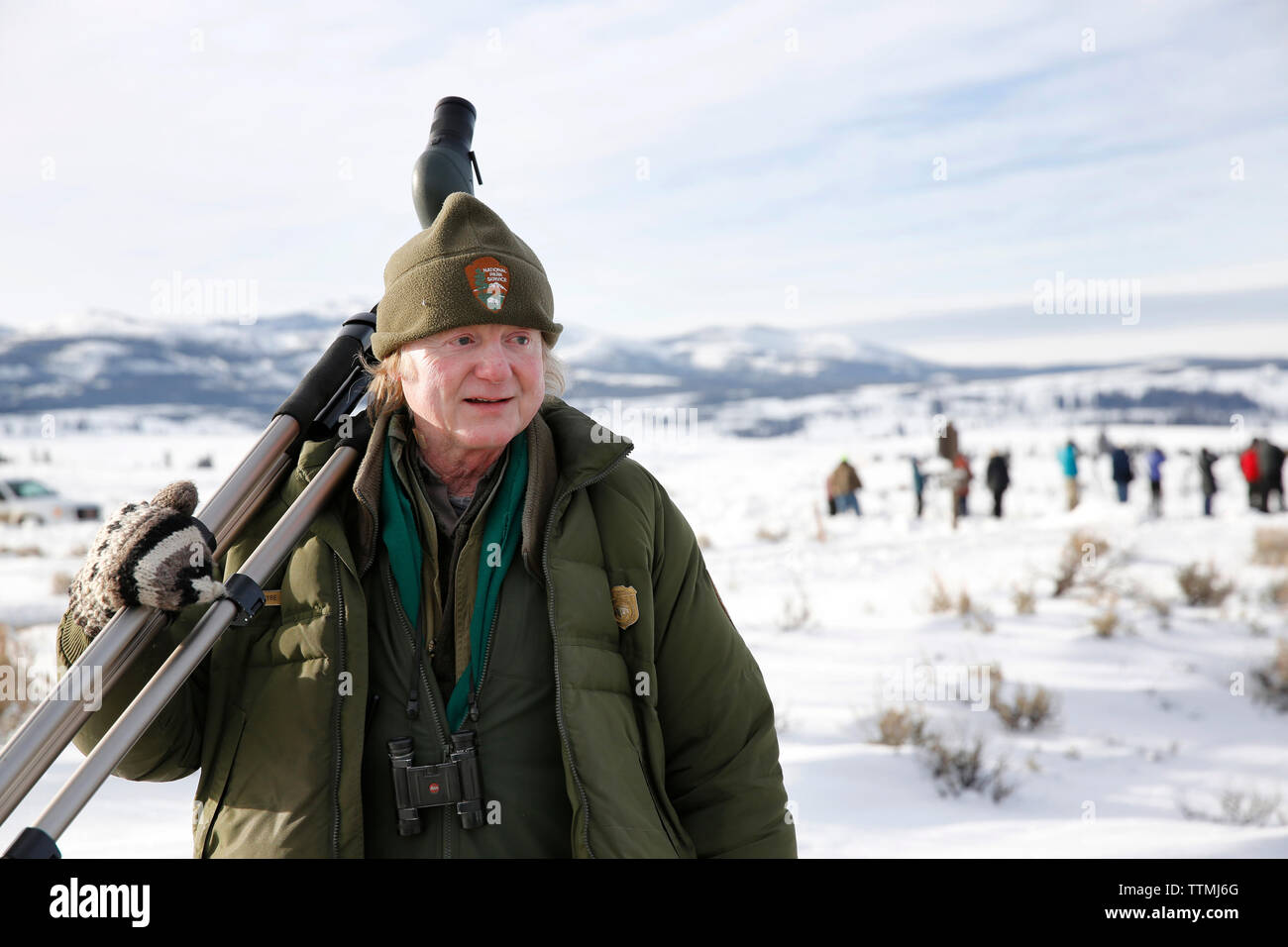USA, Wyoming, Yellowstone National Park, Rick McIntyre, the dean of ...