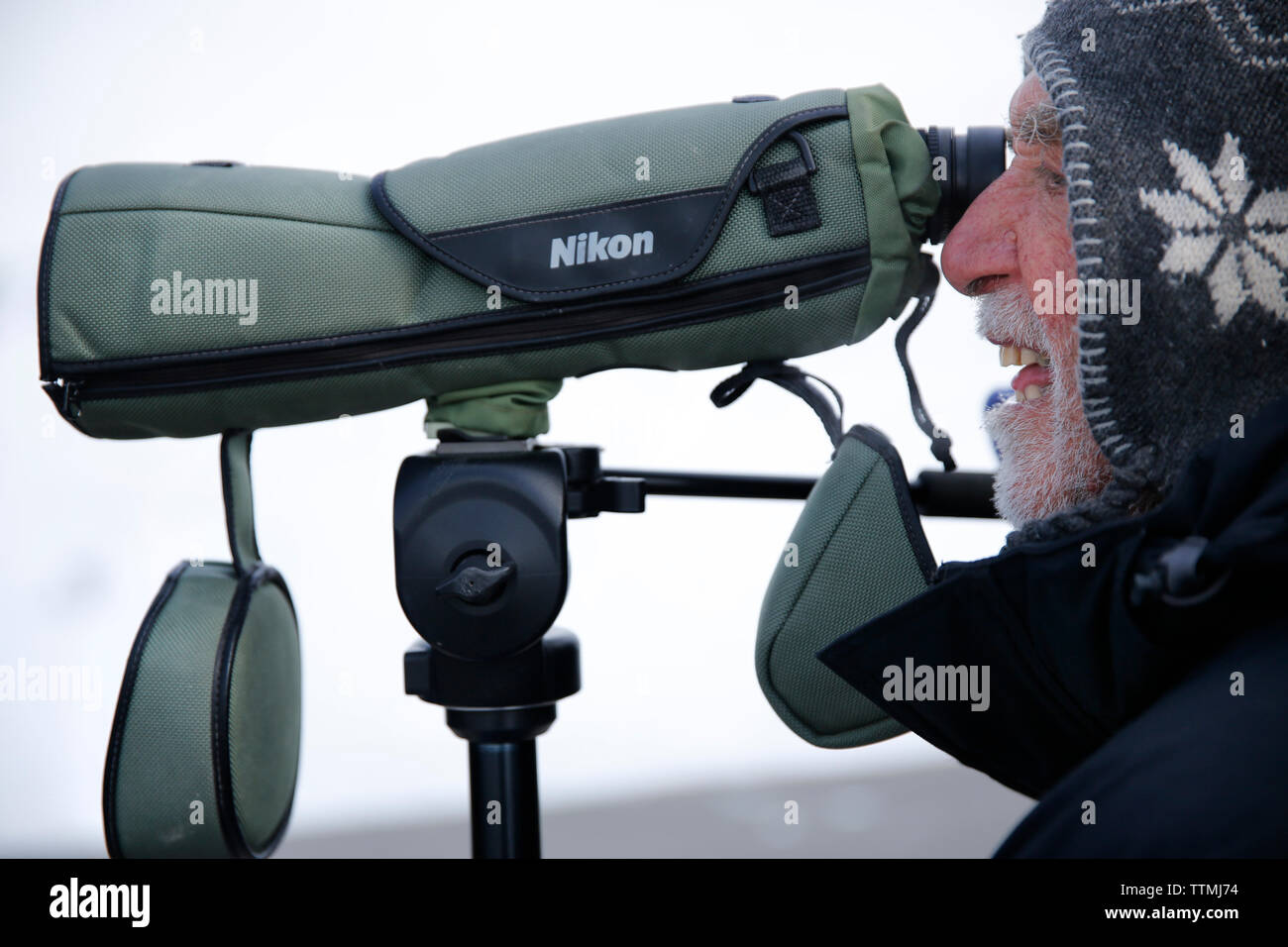 Wolf watcher hi-res stock photography and images - Alamy