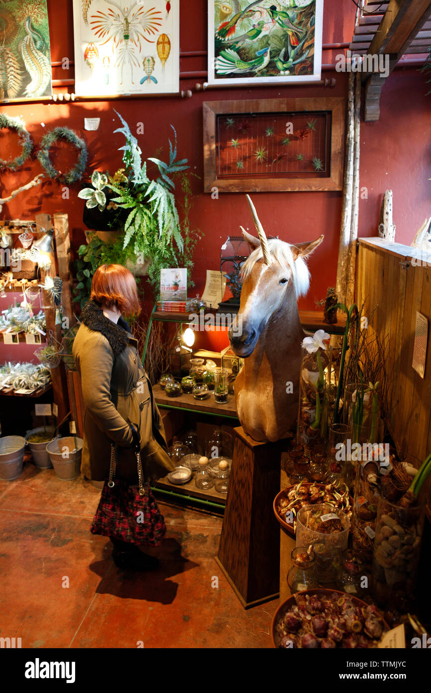 Paxton gate san francisco hi-res stock photography and images - Alamy