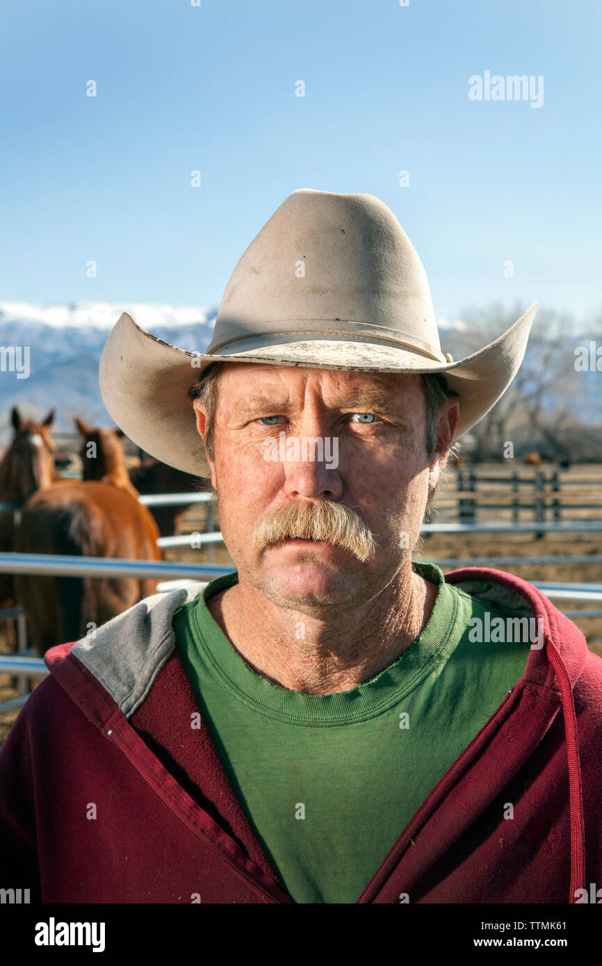 USA, California, Mammoth, a cowboy at Tatum Ranch in Bishop Stock Photo ...