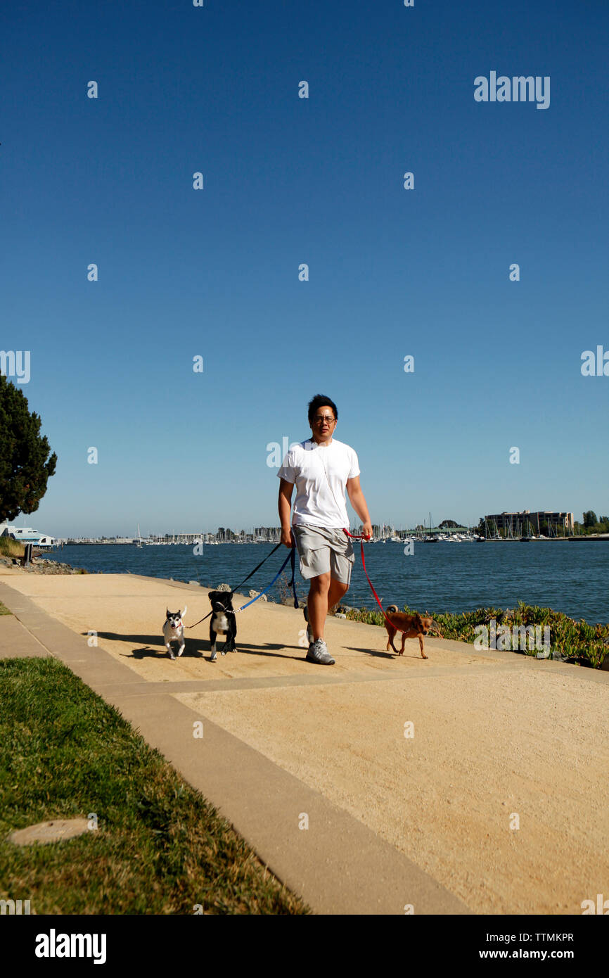 Empty warf hi-res stock photography and images - Alamy