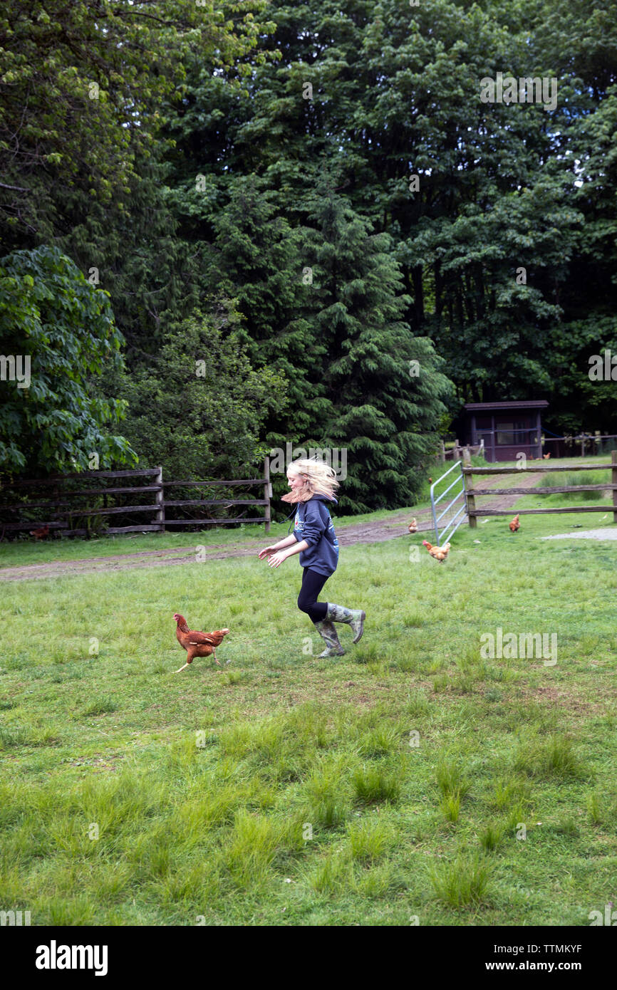 CANADA, Vancouver, British Columbia, young girls chase chickens in Port ...