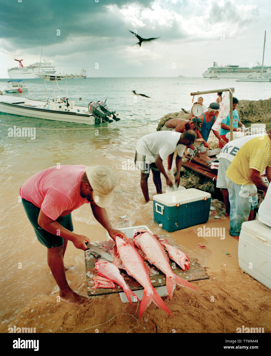 CAYMAN ISLANDS, Grand Cayman, fishermen cutting and selling red snapper ...