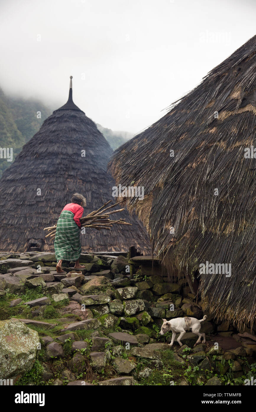 INDONESIA, Flores, Wae Rebo Village, an elder woman Safro Subagio ...