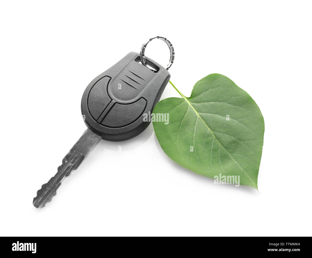 Car key with green leaf, isolated on white Stock Photo - Alamy