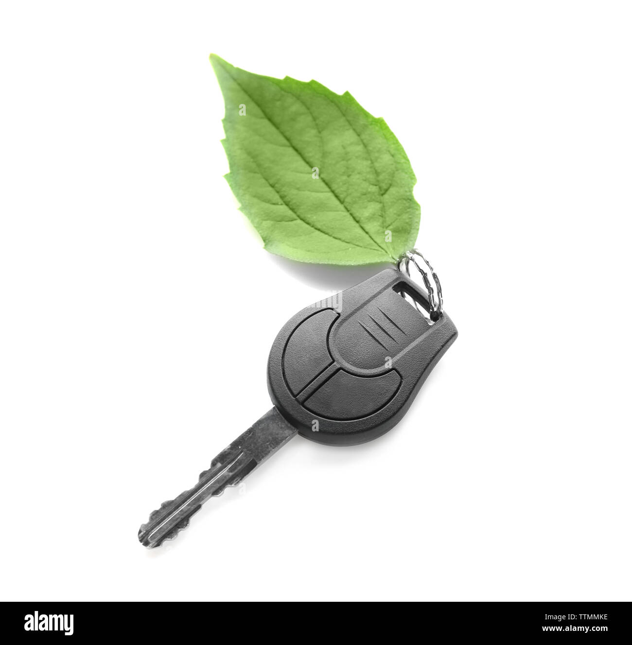 Car key with green leaf, isolated on white Stock Photo - Alamy