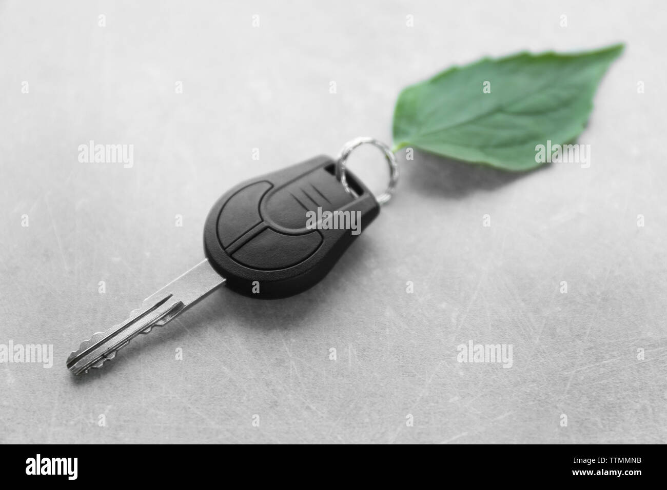 Car key with green leaf on table Stock Photo - Alamy