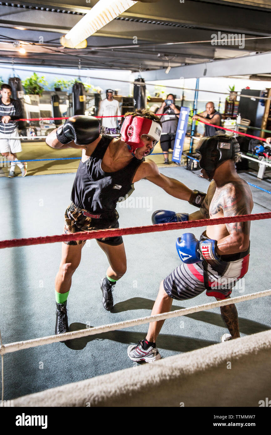 USA, Oahu, Hawaii, MMA Mixed Martial Arts Ultimate fighter Lowen ...