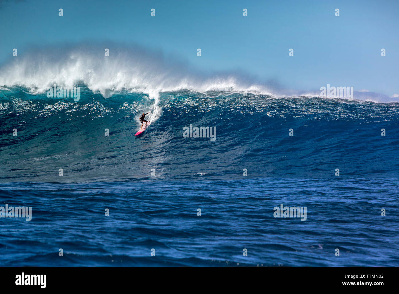USA, HAWAII, Maui, Jaws, big wave surfers taking off on a wave at Peahi ...