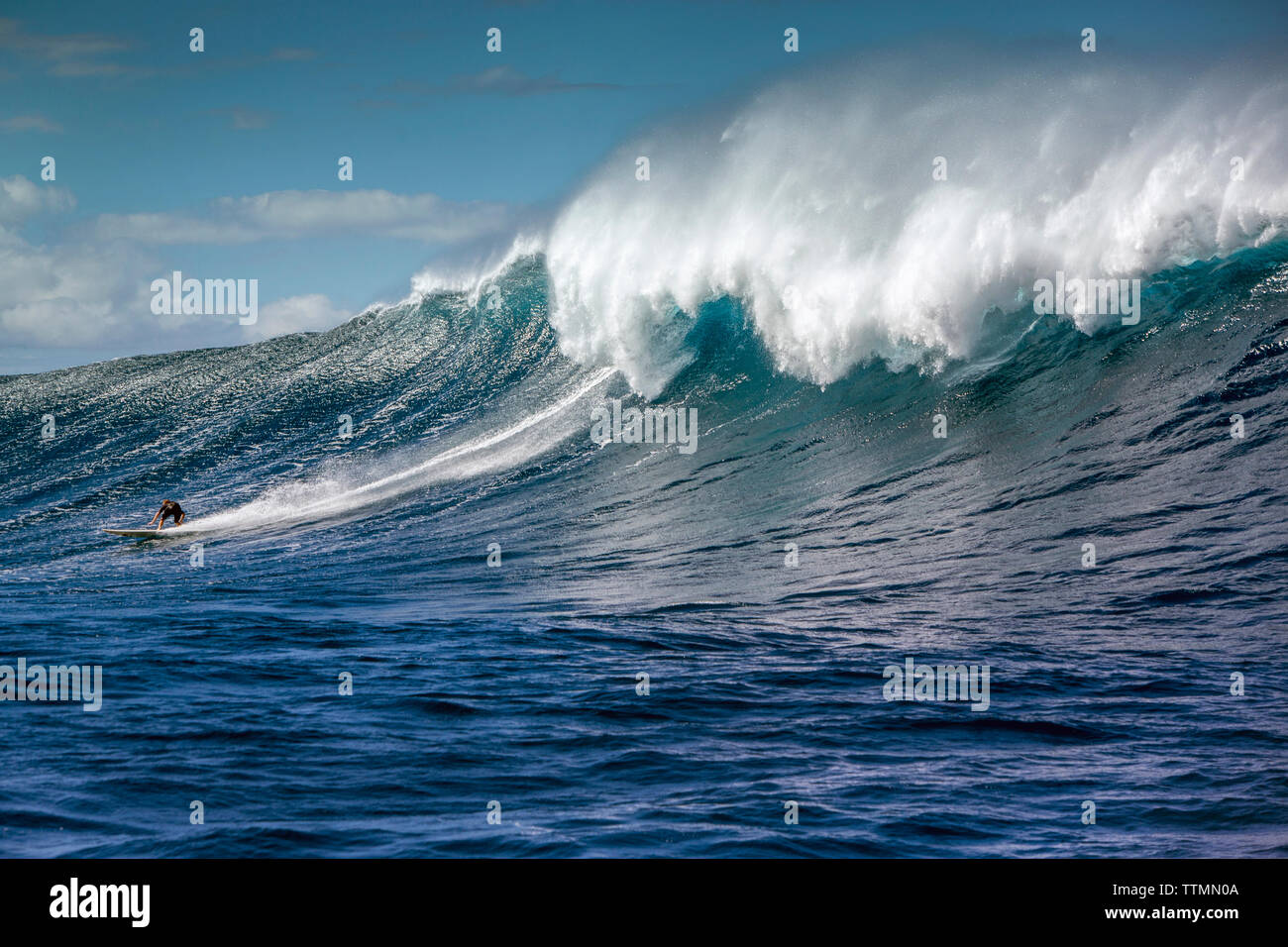 USA, HAWAII, Maui, Jaws, big wave surfers taking off on a wave at Peahi ...