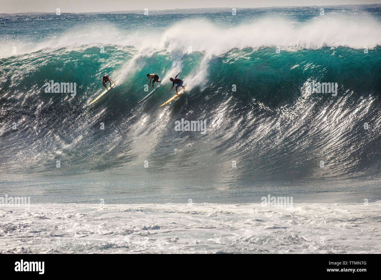 HAWAII, Oahu, North Shore, Eddie Aikau, 2016, surfers competing in the ...