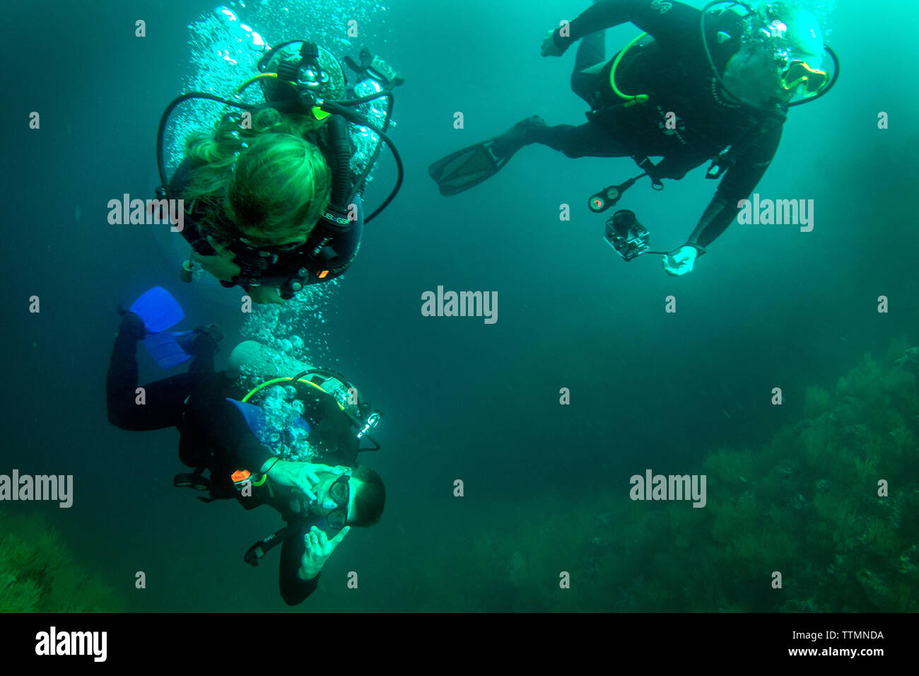 Scuba tourism in the galapagos hi-res stock photography and images - Alamy