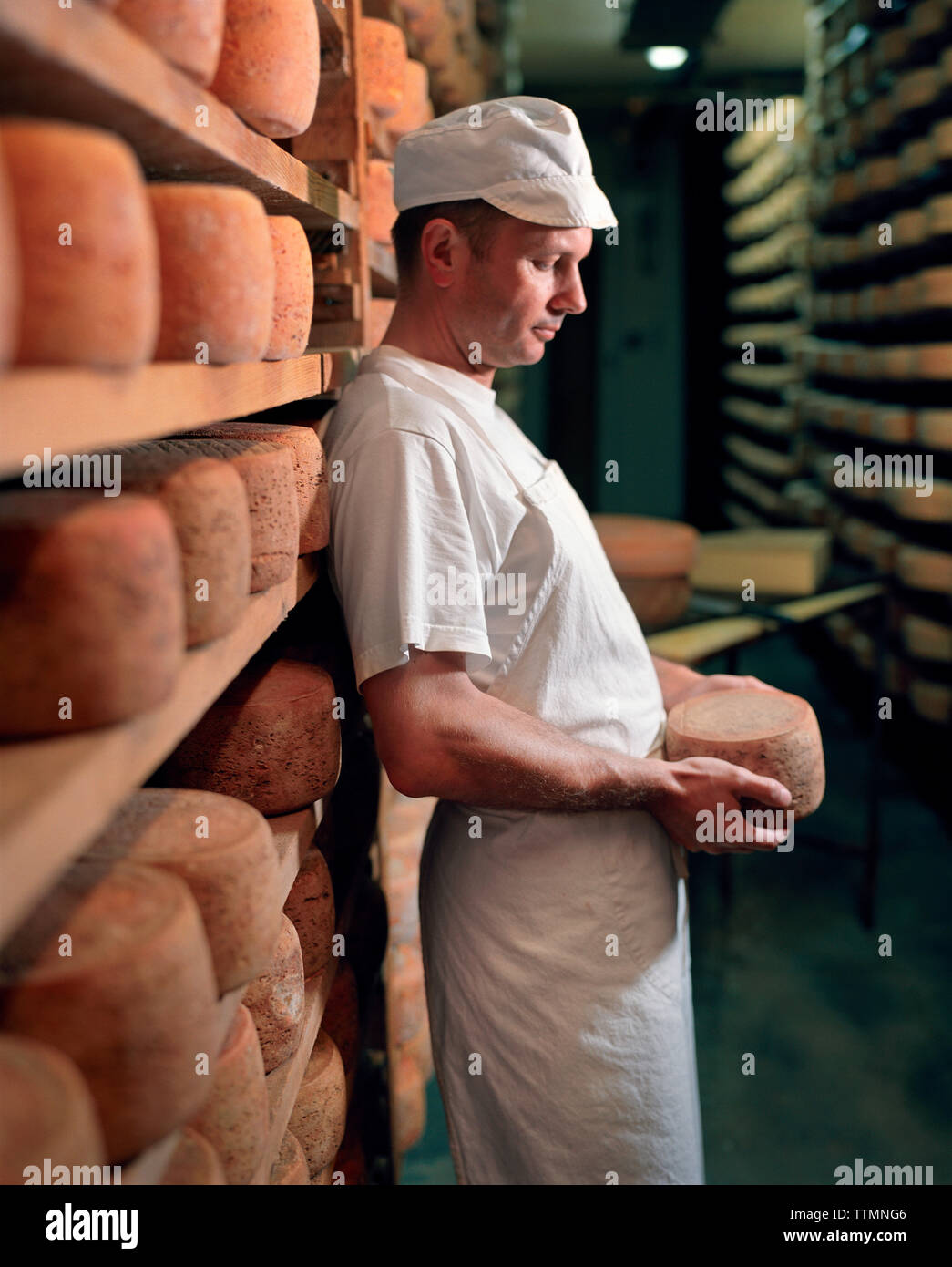 Comte cheese wheel hi-res stock photography and images - Alamy