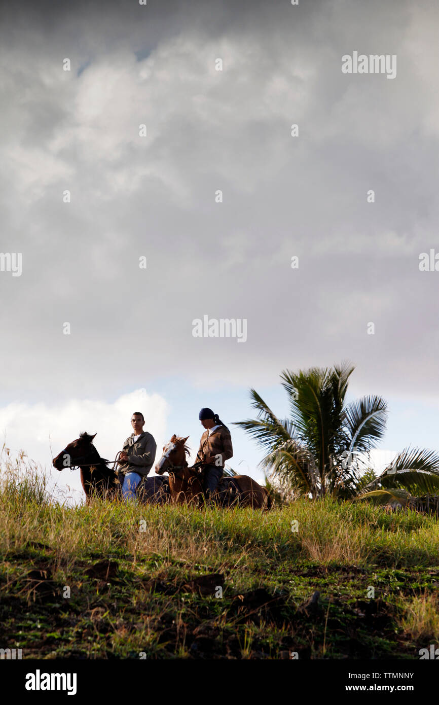 Tall trees two riding animals hi-res stock photography and images - Alamy