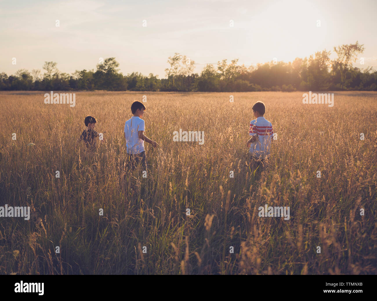Three brothers standing old hi-res stock photography and images - Alamy