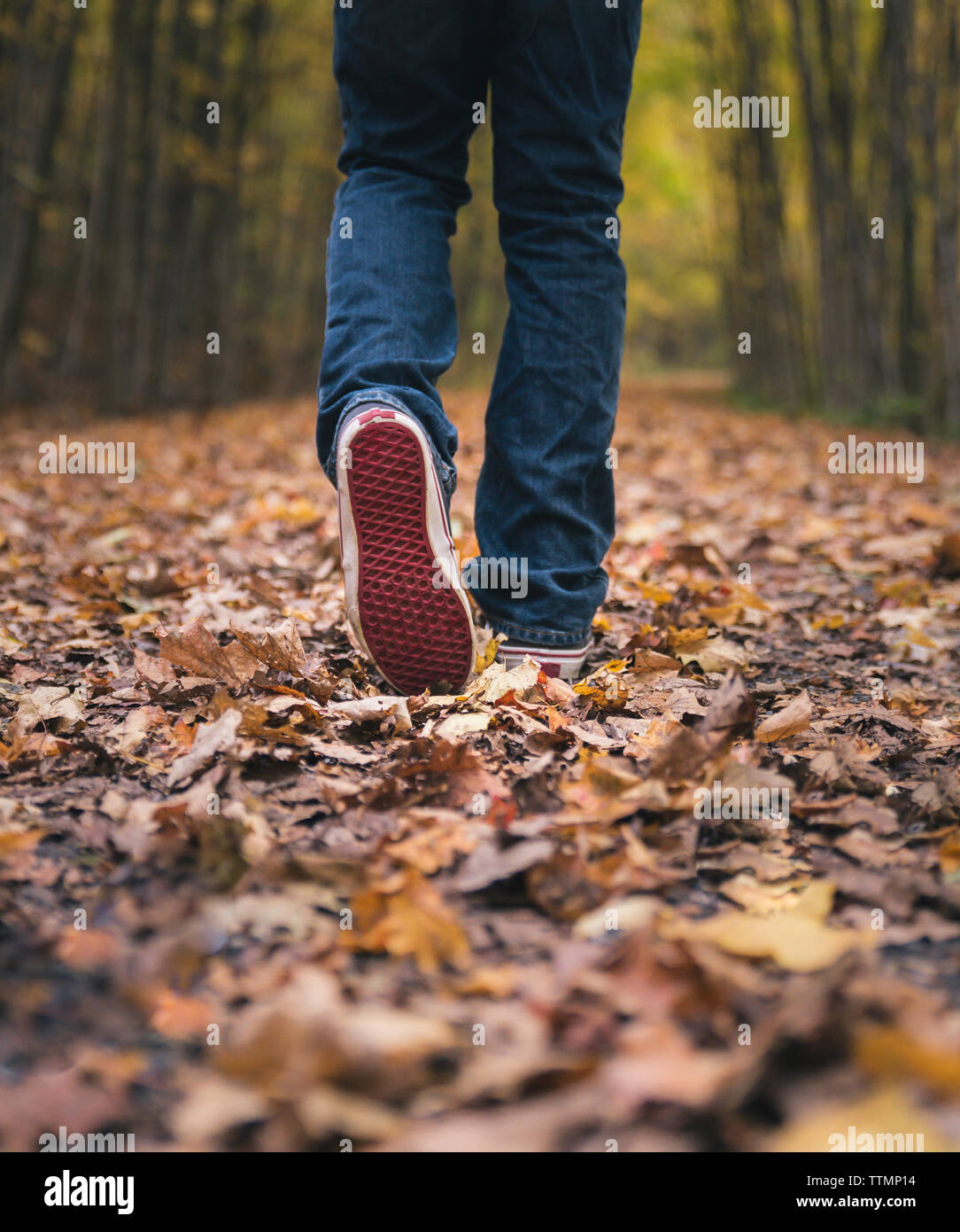 Low section of boy walking on fallen dry leaves during autumn at park Stock Photo - Alamy