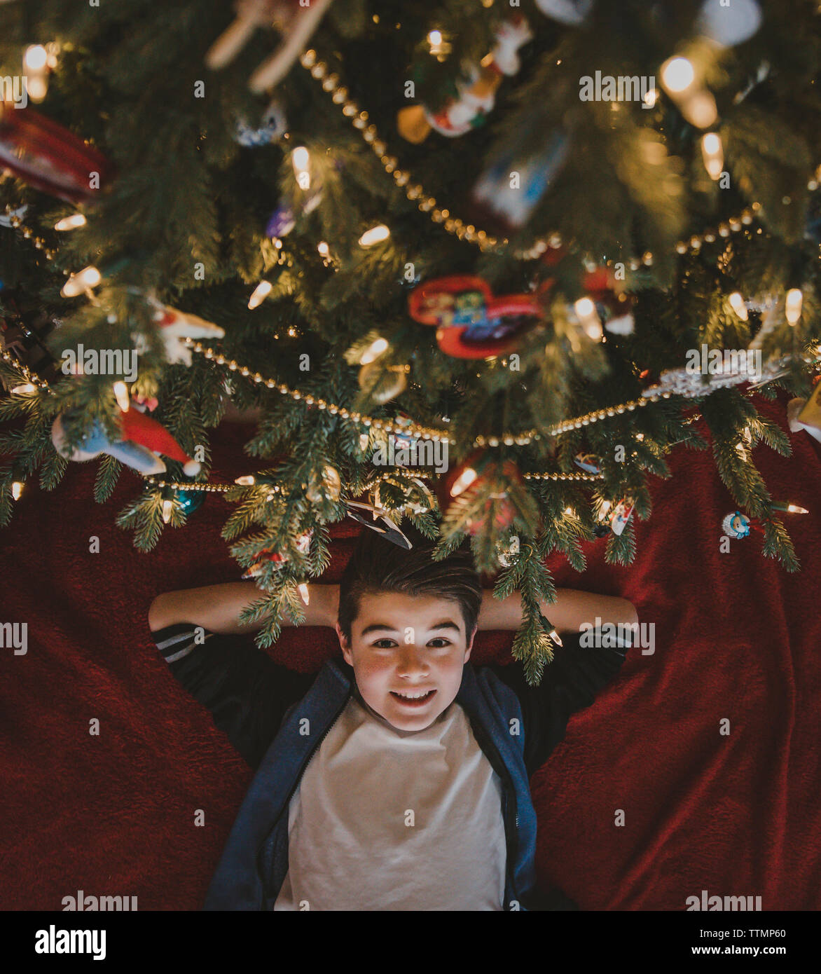 Overhead portrait of boy with hands behind head lying by christmas tree ...