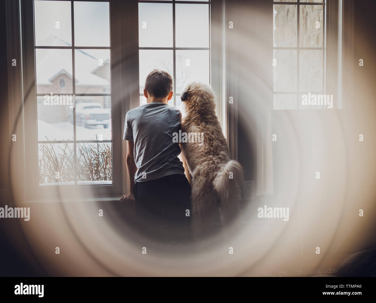 Rear view of boy with dog looking through window seen through glass at ...