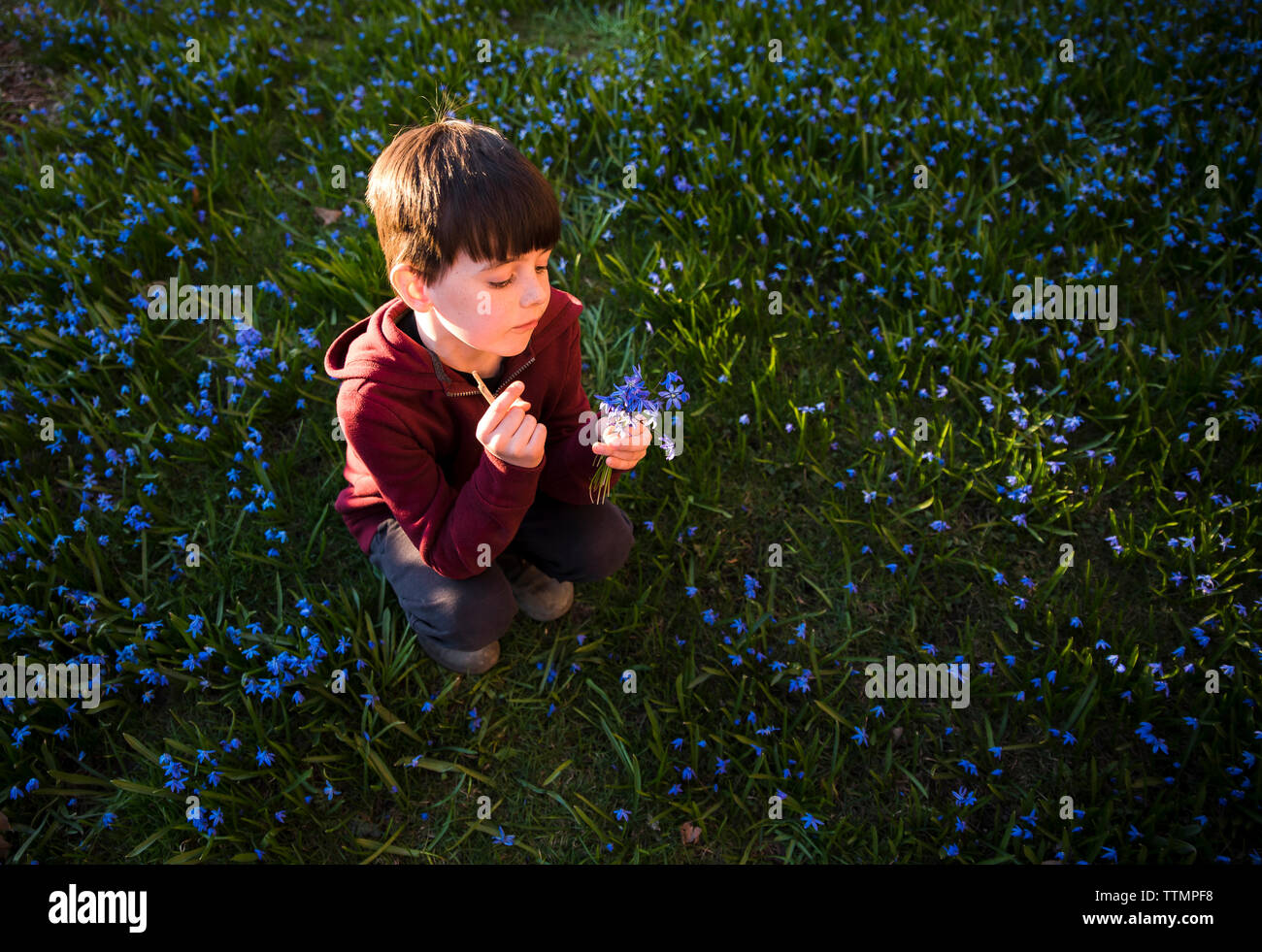 Boy picking flowers hi-res stock photography and images - Alamy
