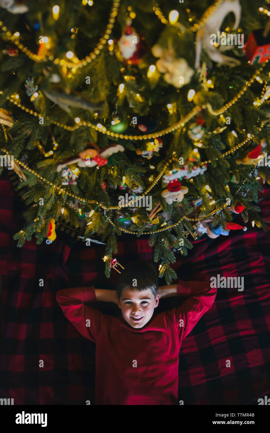 Happy boy lying under Christmas tree shot from above Stock Photo - Alamy