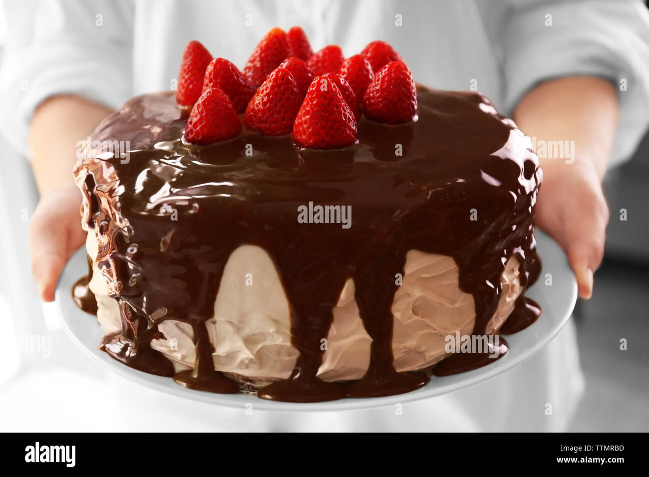 Chef holding in hands hi-res stock photography and images - Alamy
