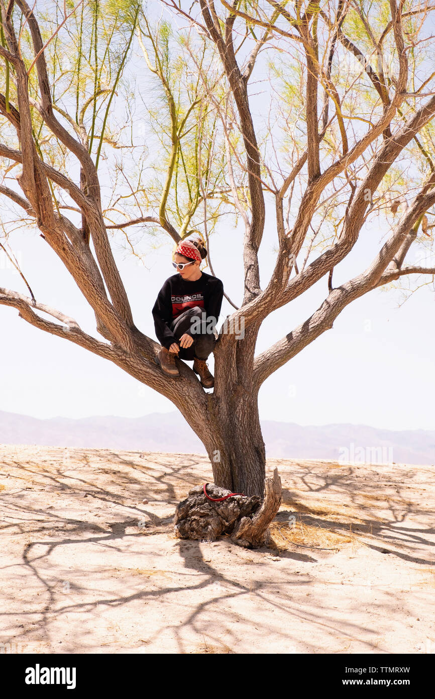Woman sitting in tree hi-res stock photography and images - Alamy