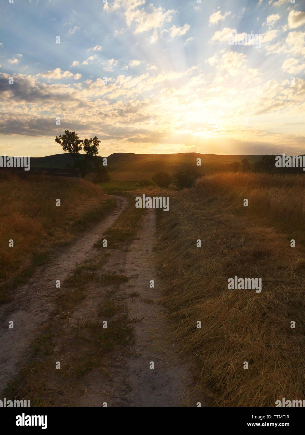 Dirt road at sunset Stock Photo - Alamy