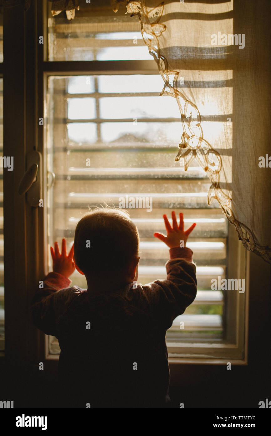 A baby looking through a window covered with lace curtain in sunset ...