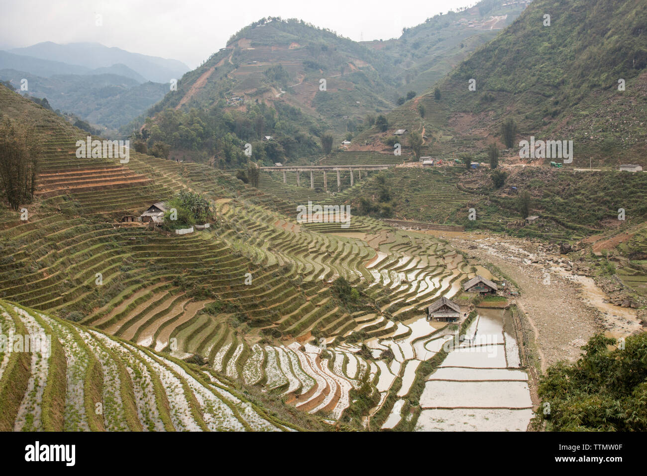 Terraced rice farm hi-res stock photography and images - Alamy