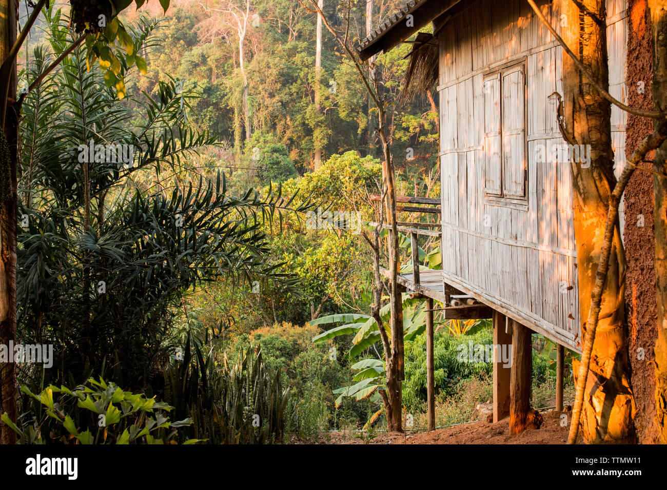 Cottage with trees hi-res stock photography and images - Alamy