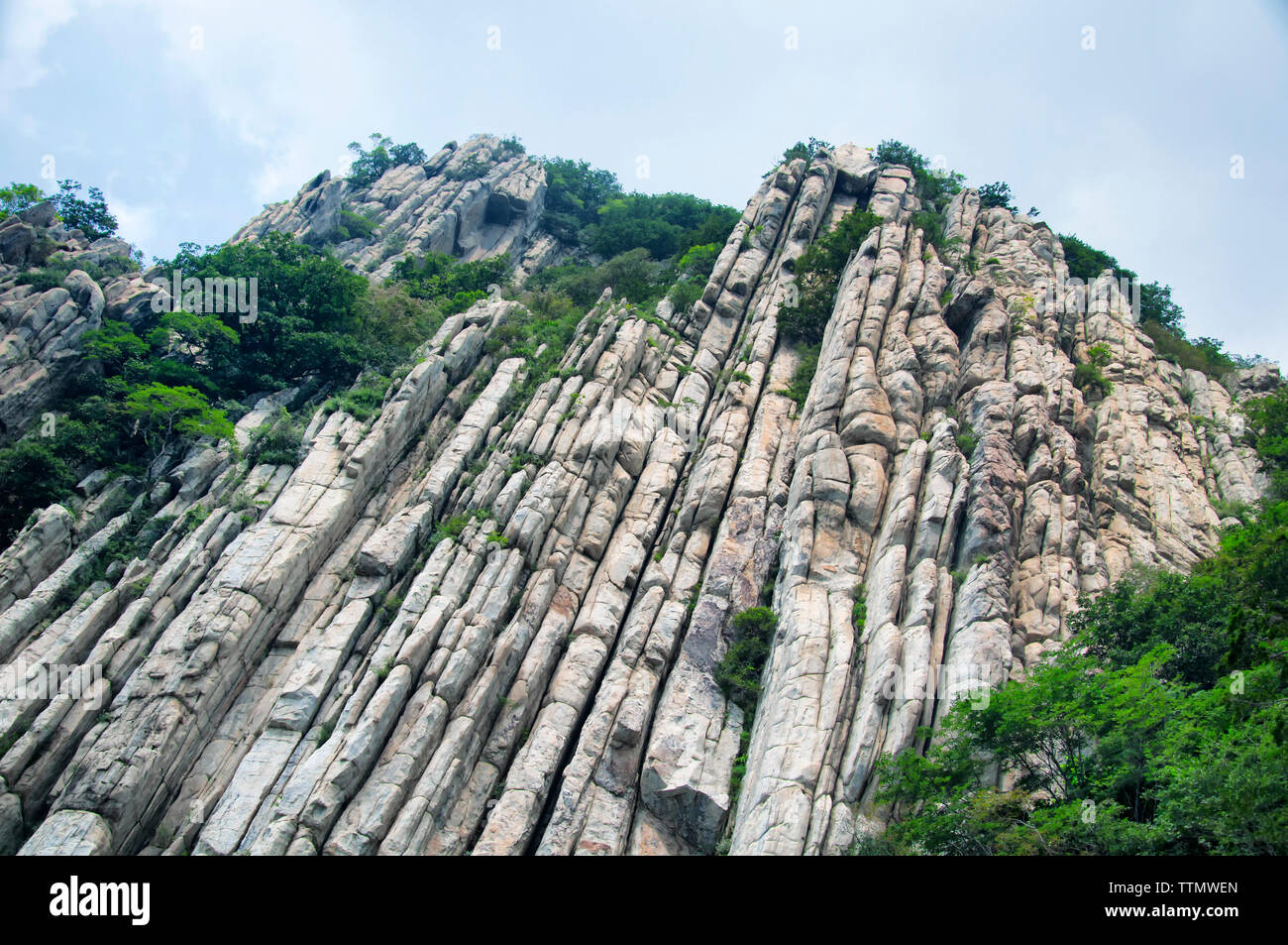 Plank walkway hi-res stock photography and images - Alamy
