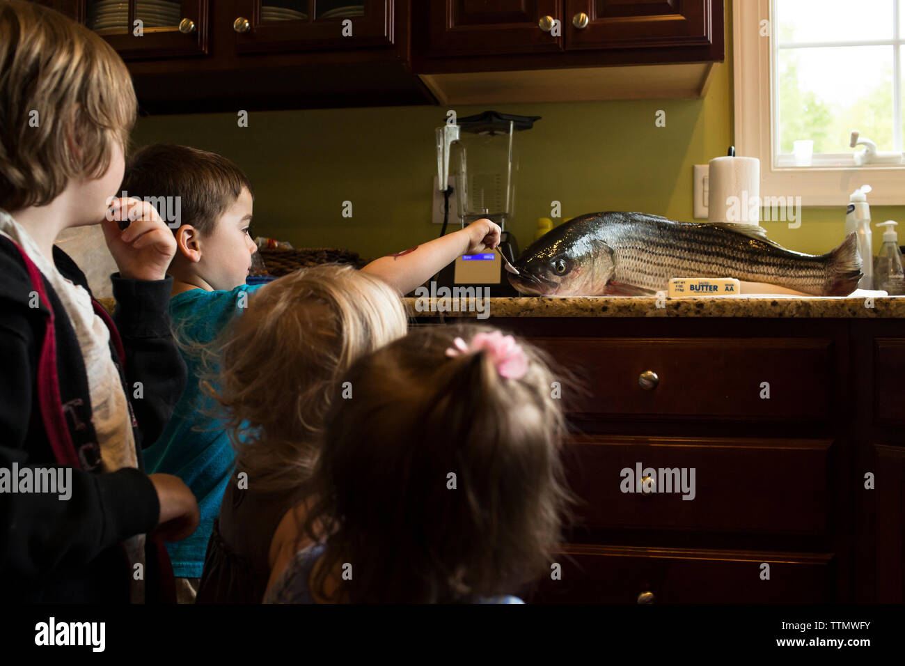 The fish kitchen hi-res stock photography and images - Alamy