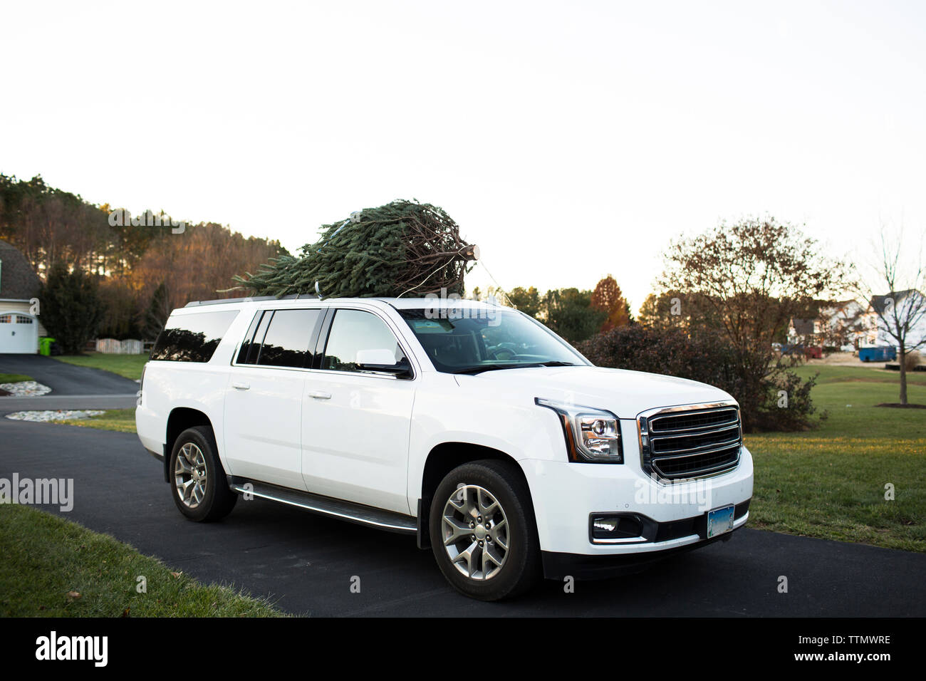 Christmas tree in an suv hi-res stock photography and images - Alamy