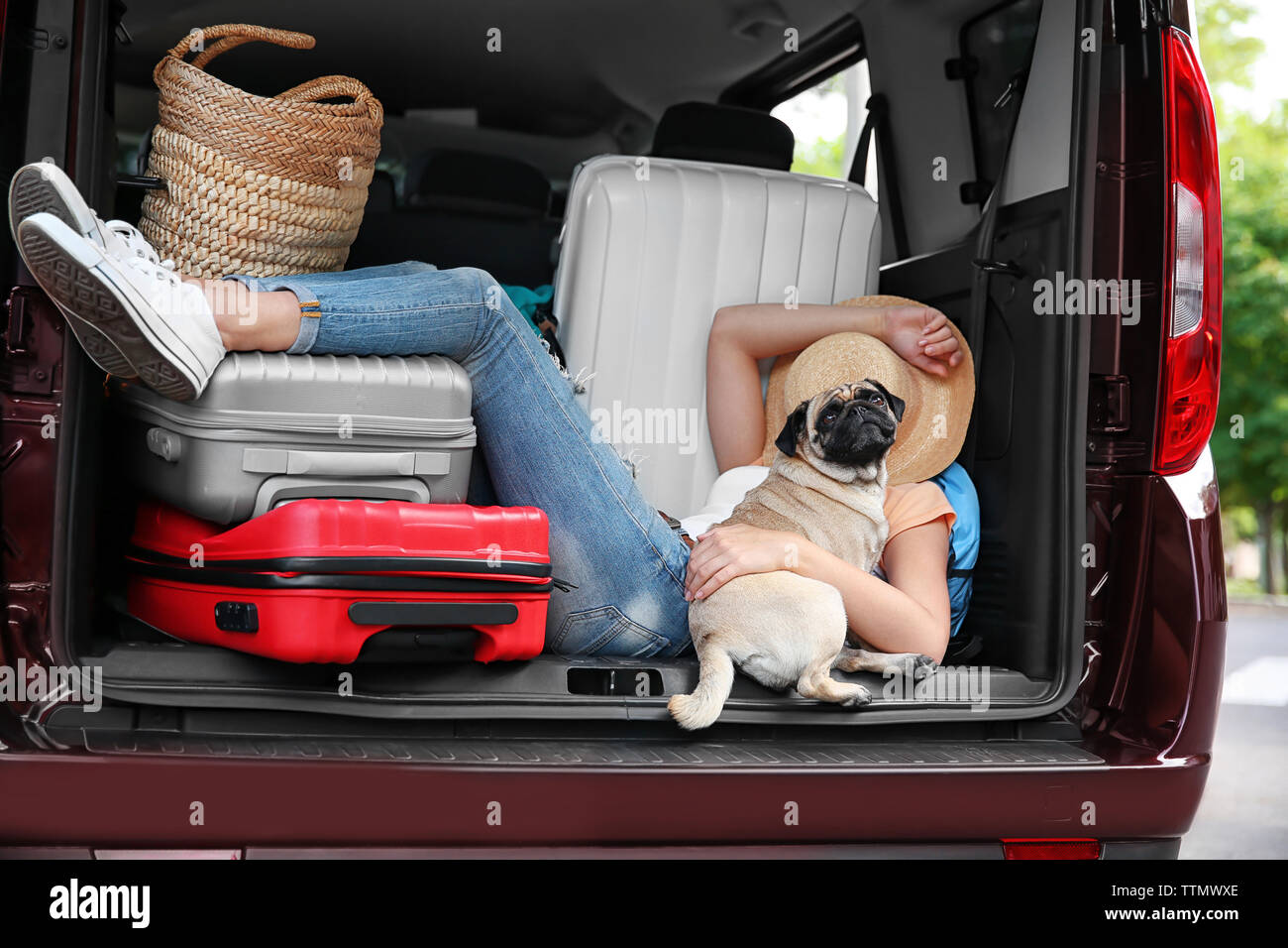 Sleeping girl in car trunk with cute pug and luggage. Travel concept ...