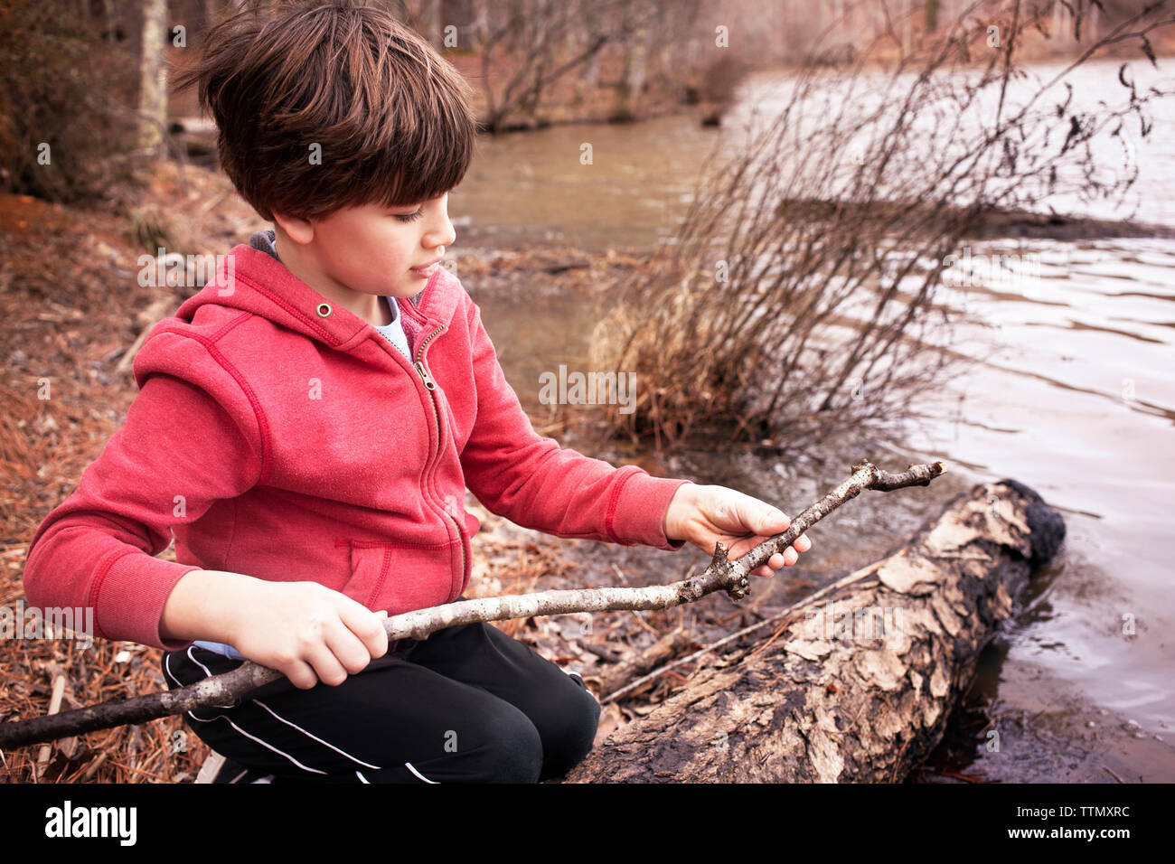 Log stick hi-res stock photography and images - Alamy