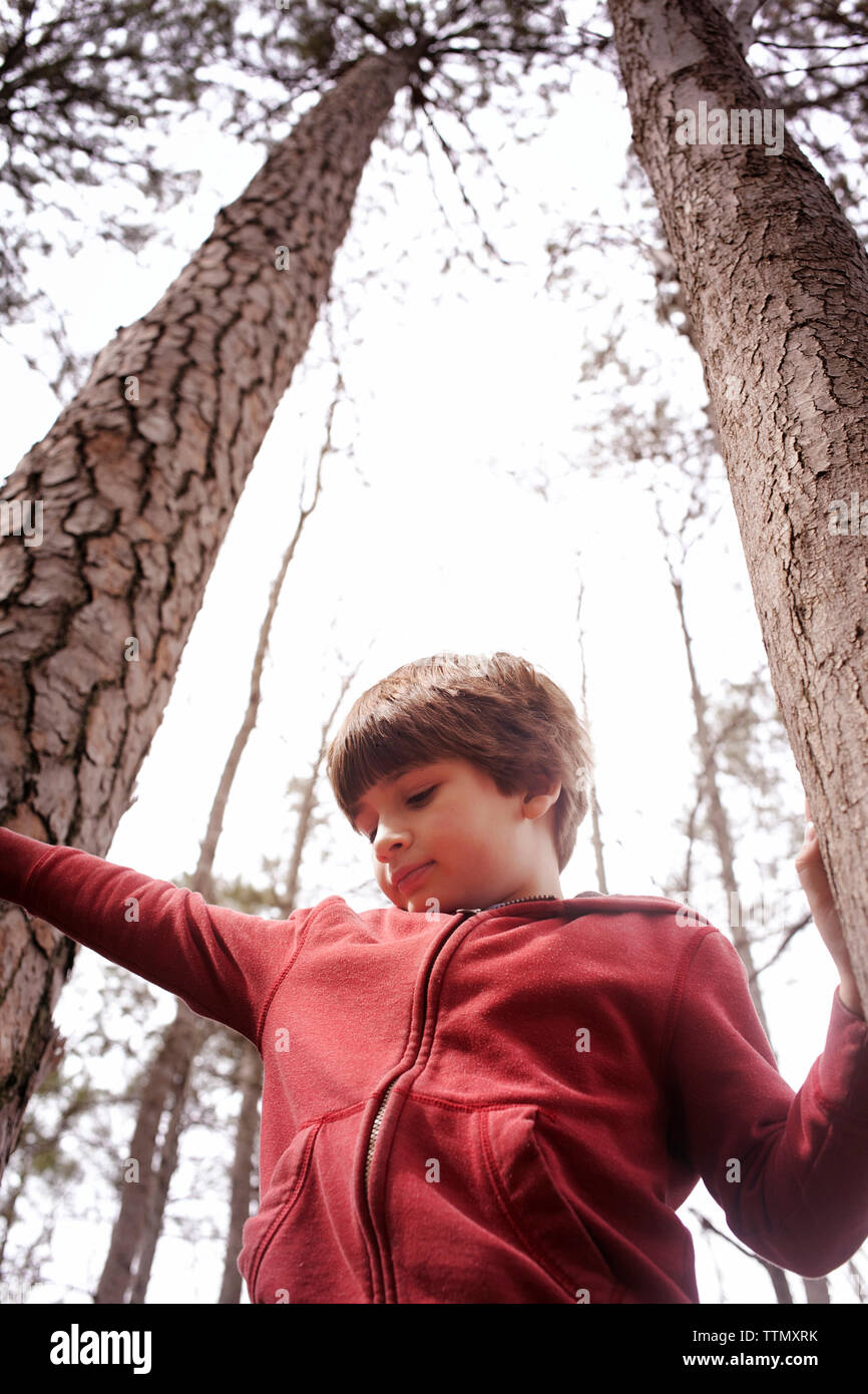 Standing between trees hi-res stock photography and images - Alamy