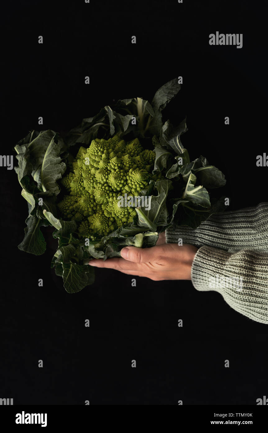 Female foodie hi-res stock photography and images - Alamy