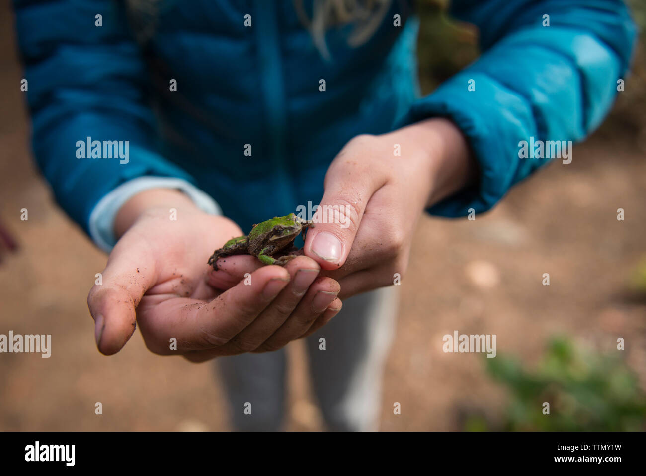 Frog holding hands hi-res stock photography and images - Alamy