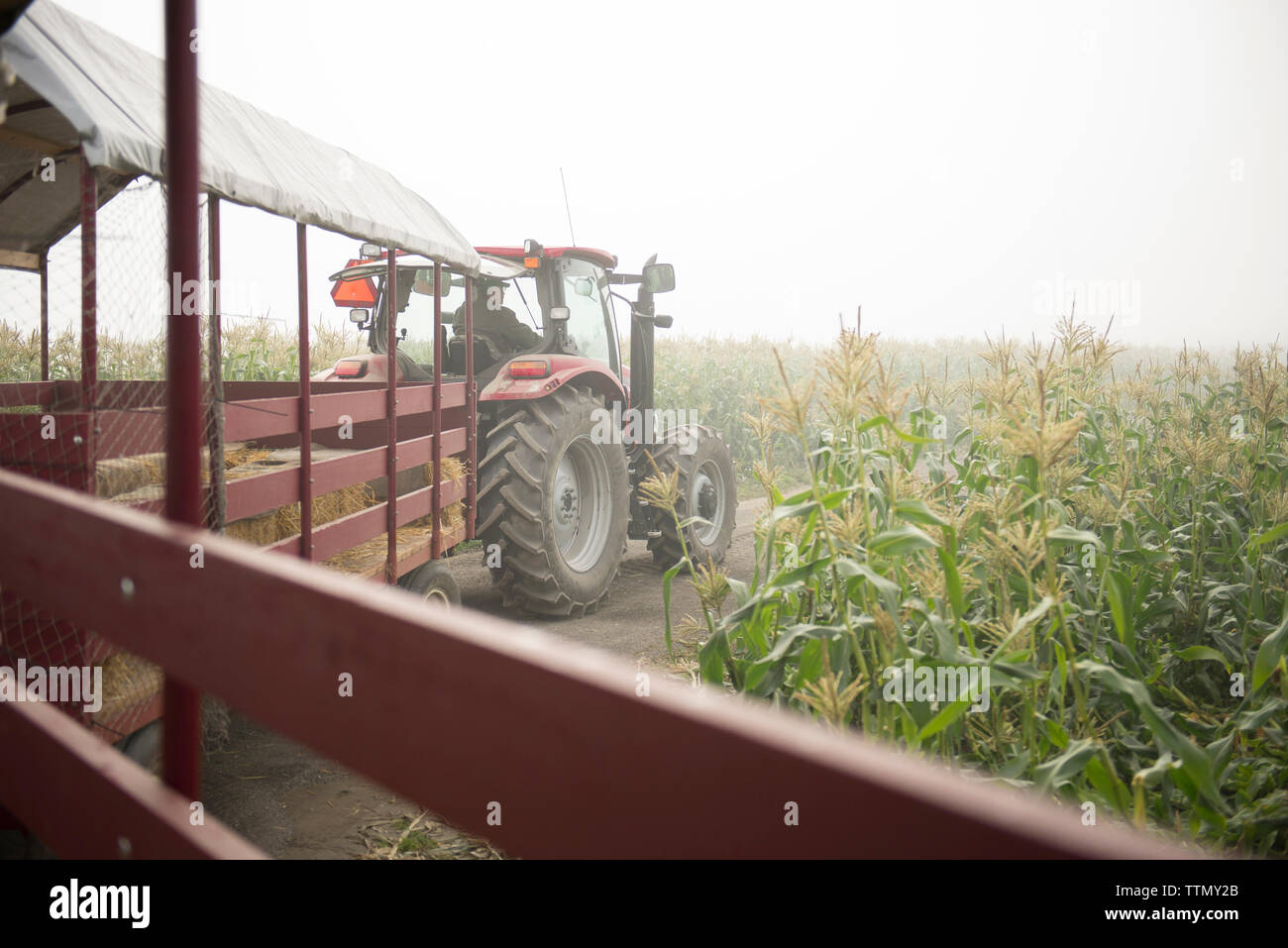Man driving tractor hi-res stock photography and images - Alamy