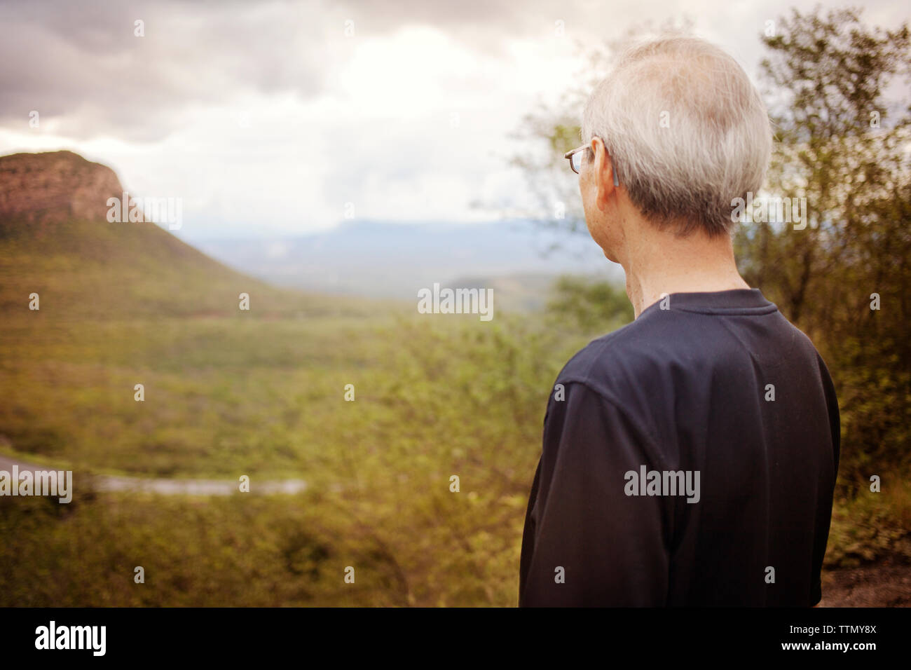 Man looking up at trees rear view hi-res stock photography and images ...