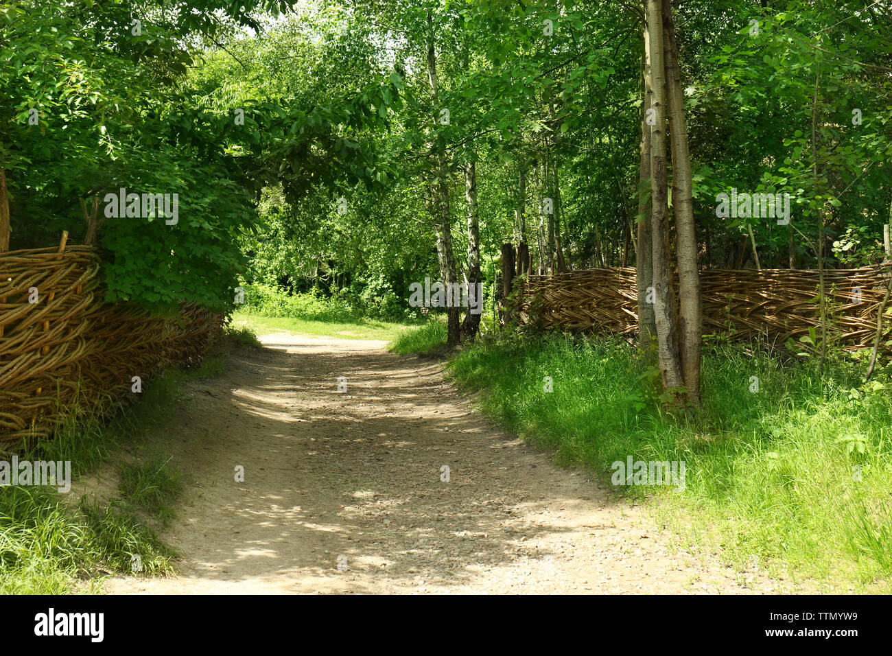 Walking path in park Stock Photo - Alamy