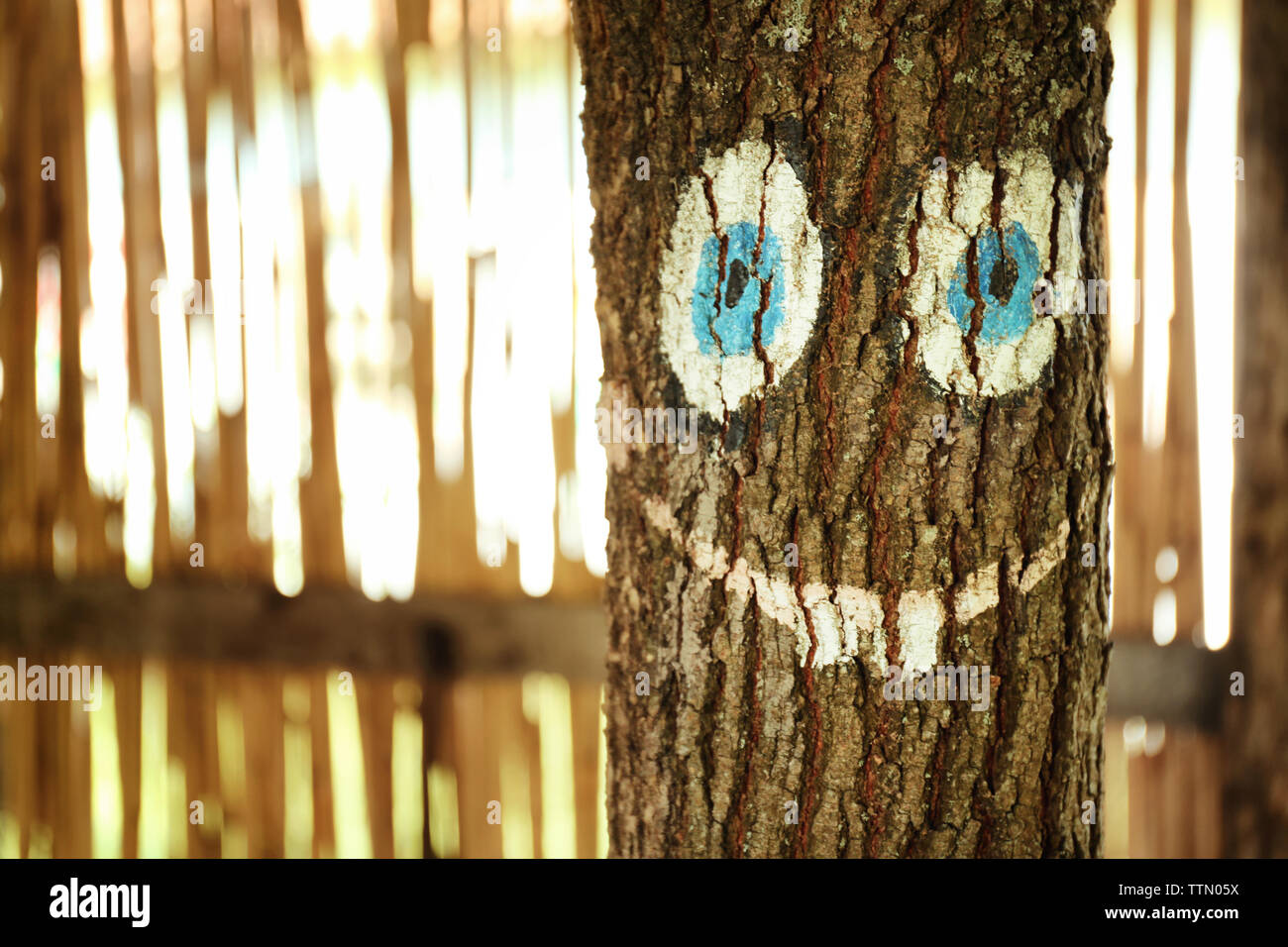 Tree trunk with smiling face Stock Photo - Alamy
